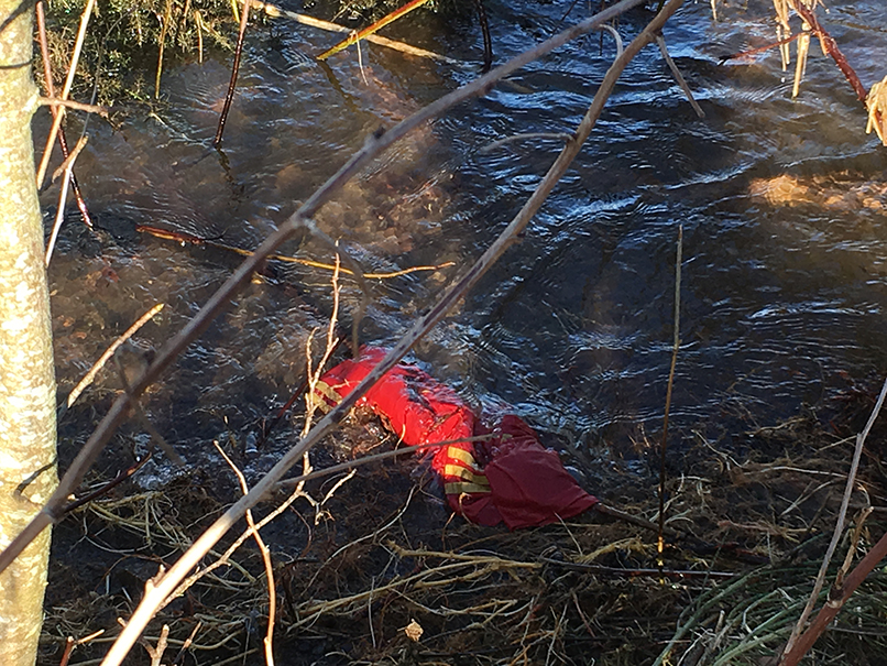 Litter - Abi Warner Photography